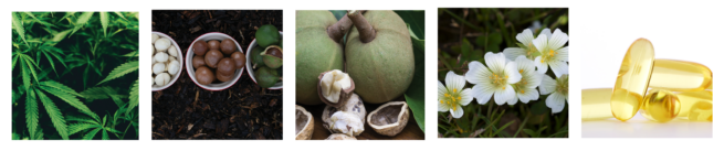 CBD Revive Shampoo - LANZA